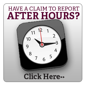 Williamson Insurance Agency